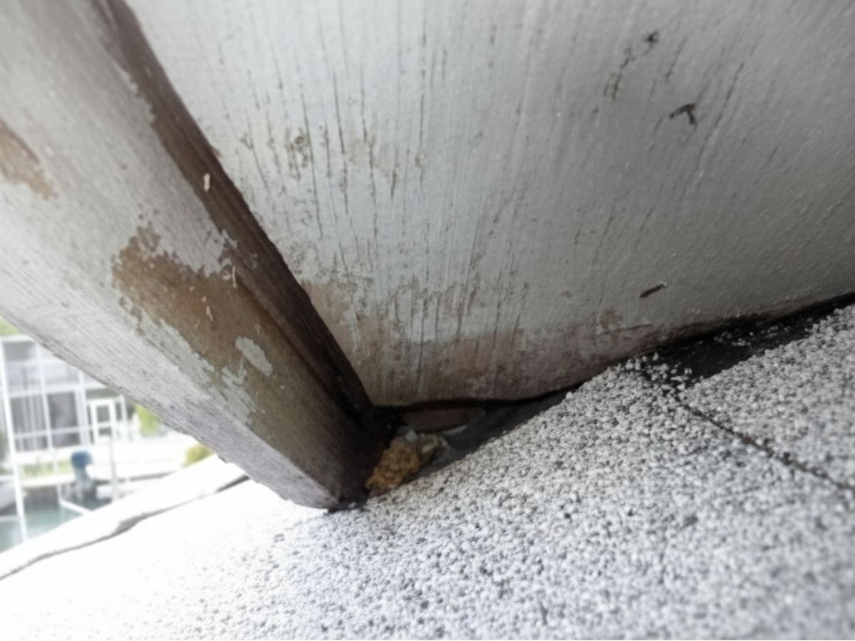 Common Shingle Roof Problems | Kelly Roofing